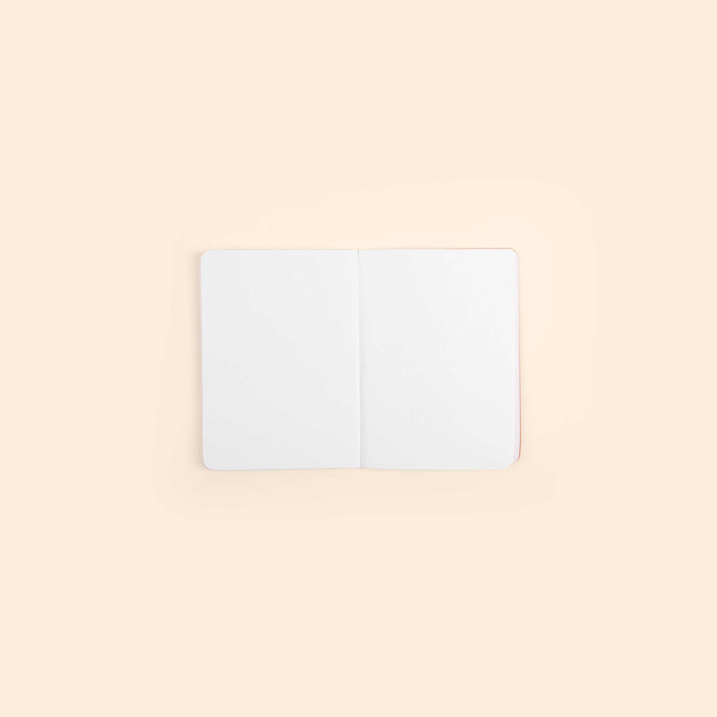 JOURNAL - 5.5 x 4 MEGA PASSPORT - TAPE - BLACK AND WHITE GUTS - U - MINI