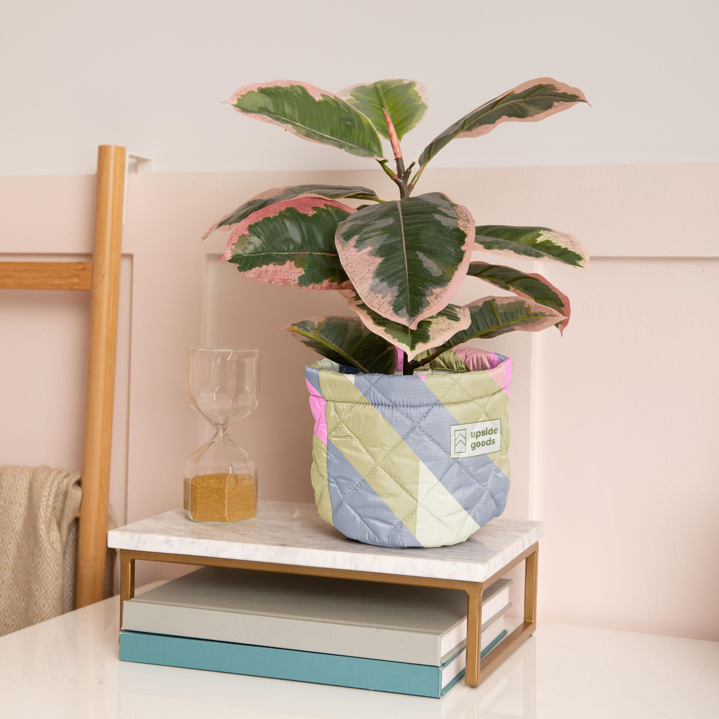 MARY JANE - PUFF PUFF