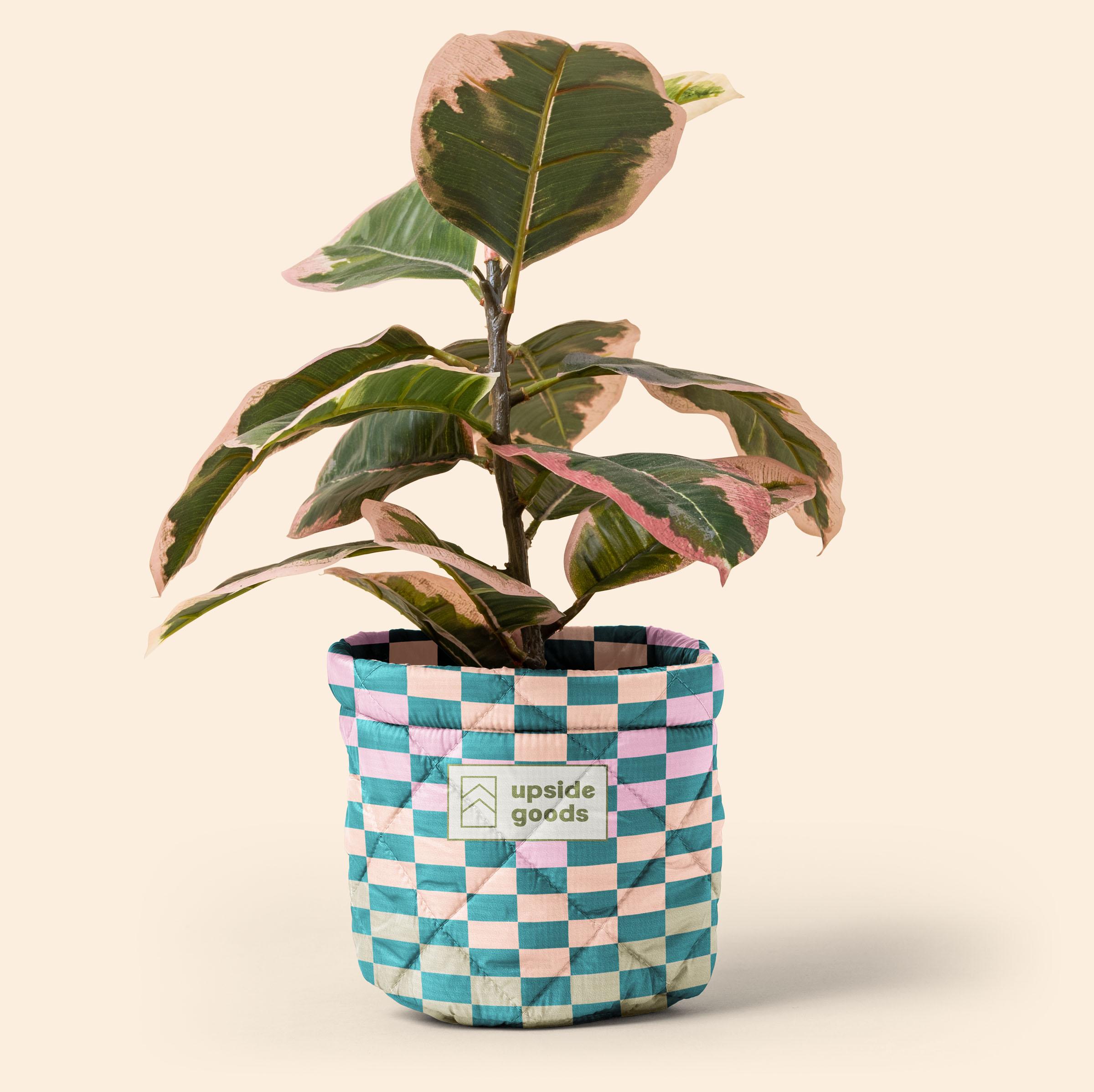 MARY JANE - PUFF PUFF