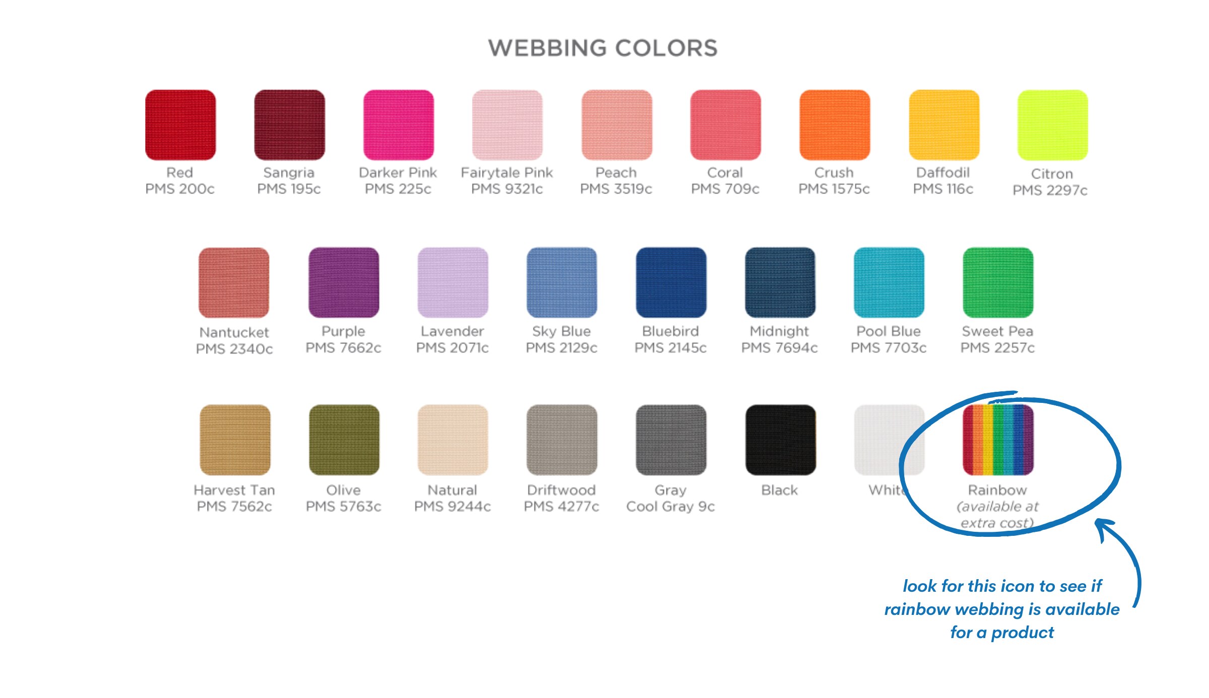 Rainbow Webbing